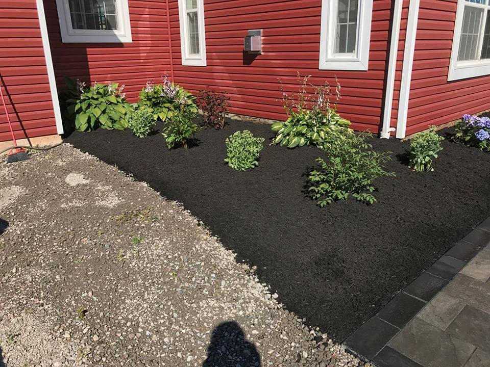 Softscaping – Mel's Gardening