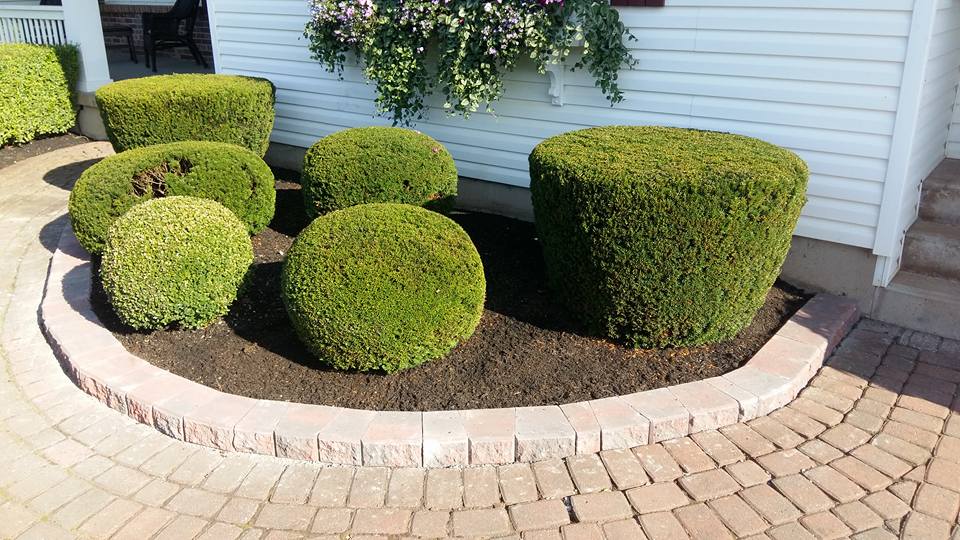 Softscaping – Mel's Gardening